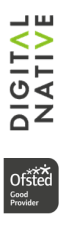 Junior Tech Job Application FAQ's - Digital Native